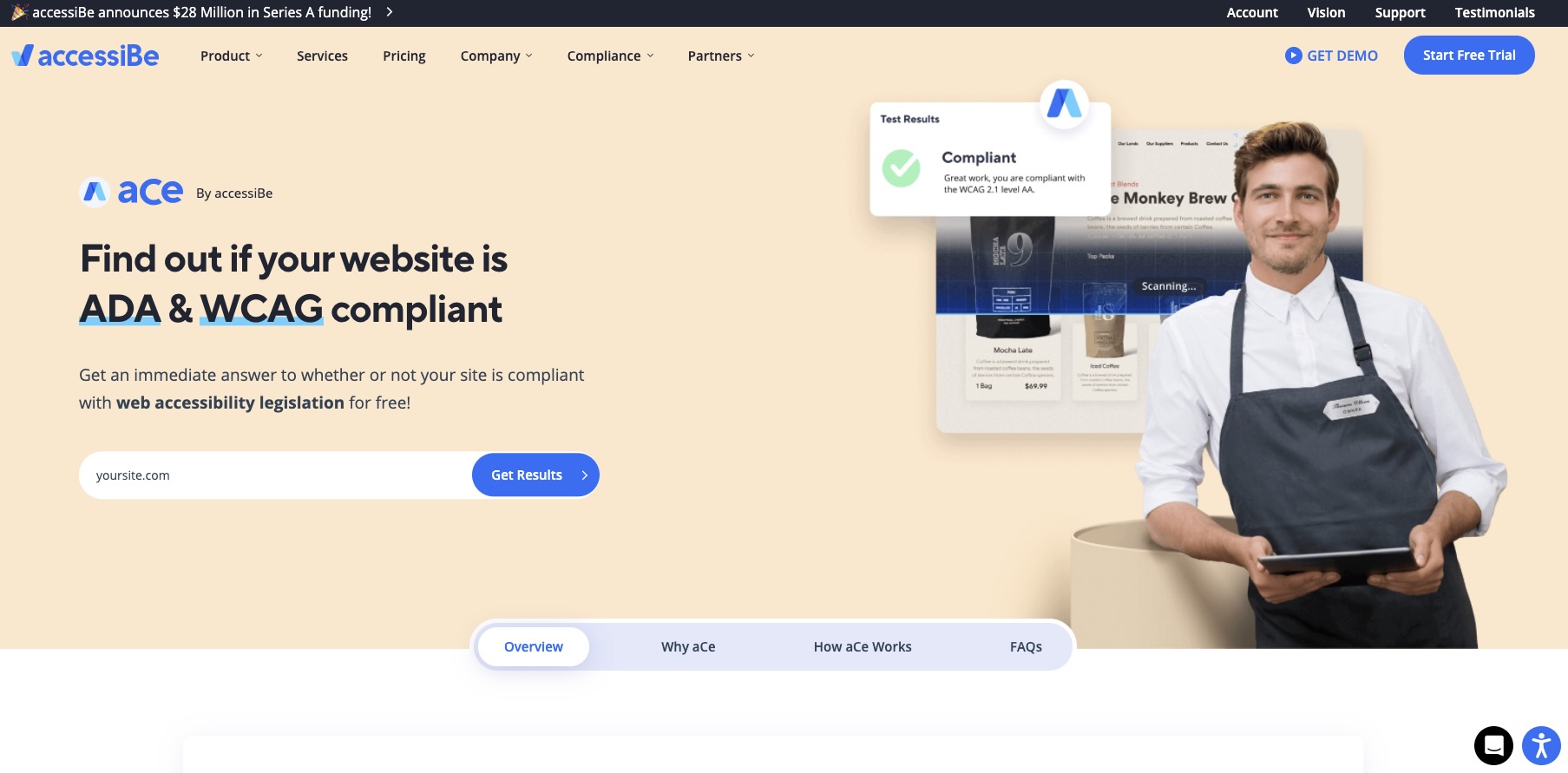 aCe Checker Review - A Web Accessibility regulations tool